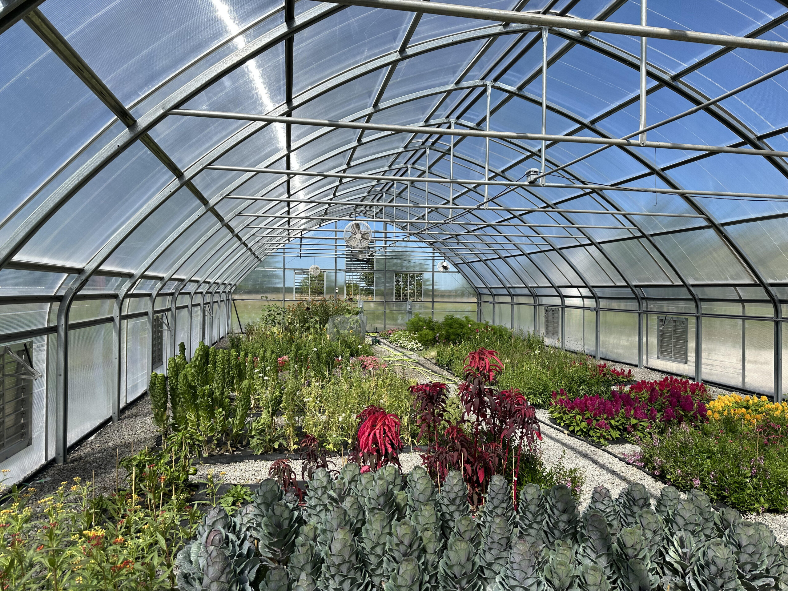 Beautification Gallery - Monarch Meadow Farms